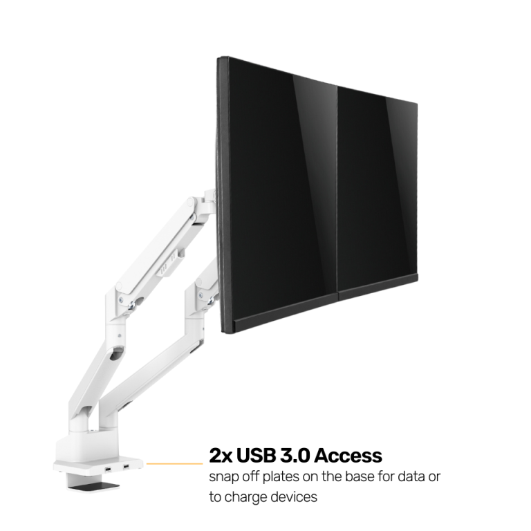 Dual Monitor Thin Gas Spring Monitor Arm with USB Ports - the Aryl